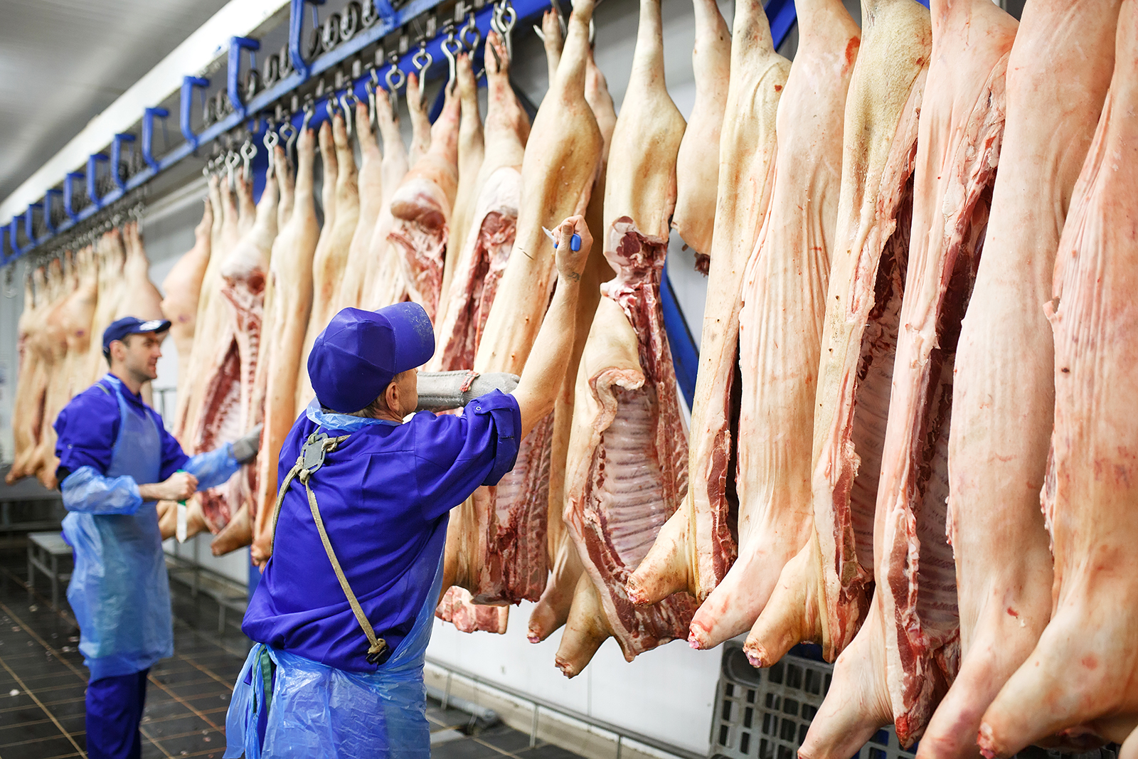 Compliant Meat Processing Software | Hellenic Systems